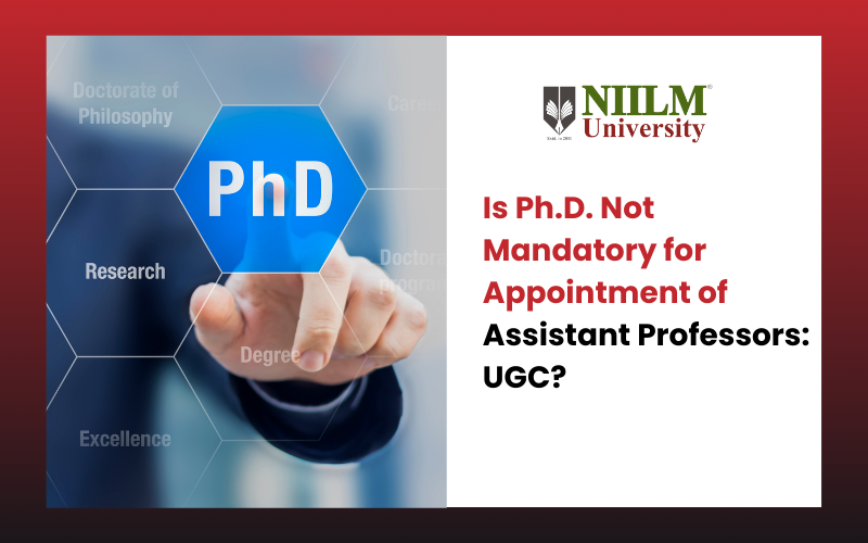 Home NIILM University Kaithal Haryana home-niilm-university-kaithal-haryana